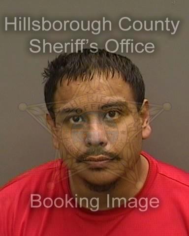 EMMANUEL ROBLES of PLANT booked for
