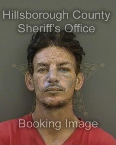 GREGORY ALLEN HALL of TAMPA booked for