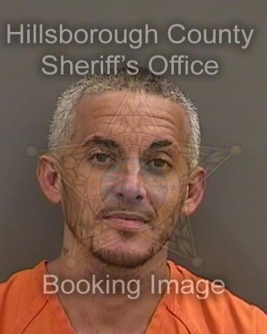 JORGE LUIS JR AVILA of TAMPA booked for
