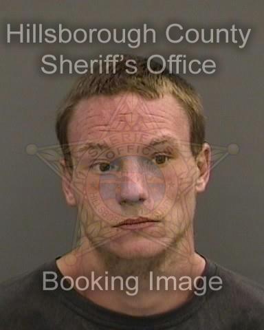 STEVEN AUSTIN BAIN of TAMPA booked for