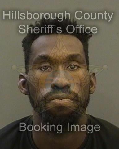 ERIK DAVID FENELON of TAMPA booked for