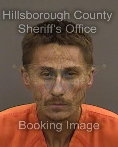 JOSEPH DUSTIN BAILEY of RIVERVIEW booked for