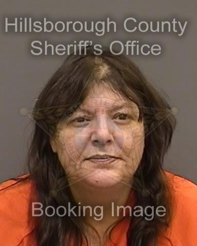 ANNETTE GUZMAN of TAMPA booked for