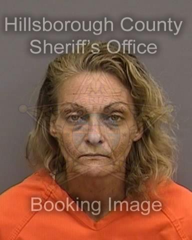 CARRIE GAIL MCCLELLAN of TAMPA booked for