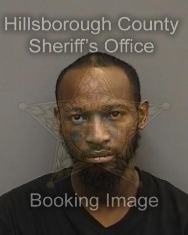 DAVID MITCHELL JR QUARTERMON of TAMPA booked for