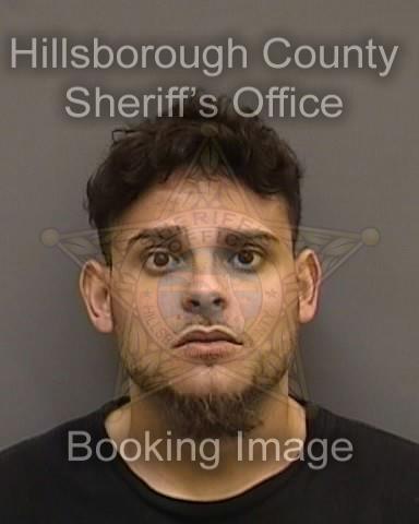 ELIJAH DAVID MENENDEZ of TAMPA booked for
