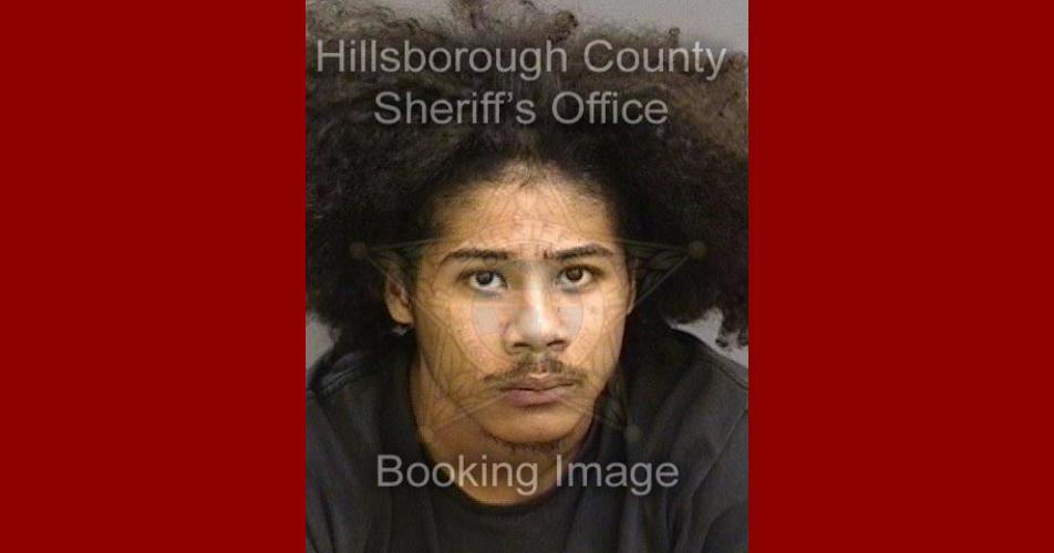 JEREMIAH STEVEN PIMENTEL of TAMPA booked for