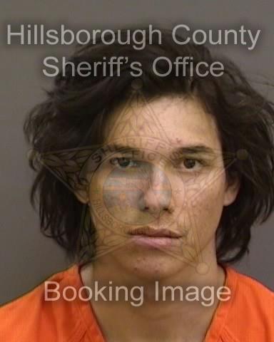 JOHN WAYNE GOODING of THONOTOSASSA booked for