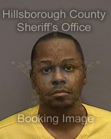 MICHAEL ANTHONY LOVETT of TAMPA booked for