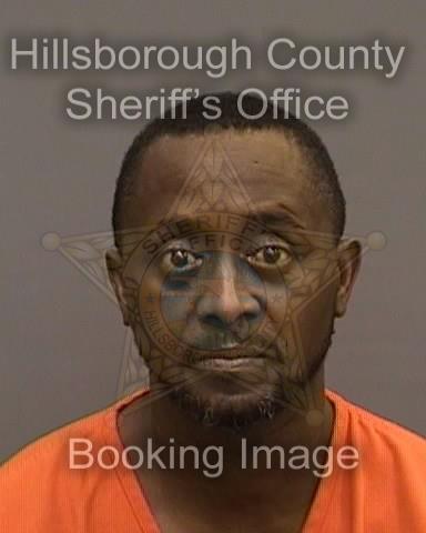 RONALD ANTHONY JR EVERETT of SEFFNER booked for