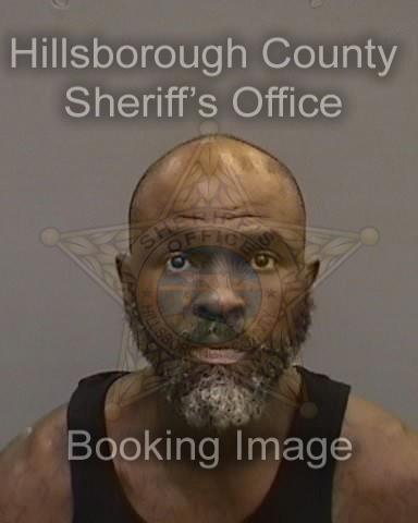 CARLOS MAURICE GREEN of TAMPA booked for