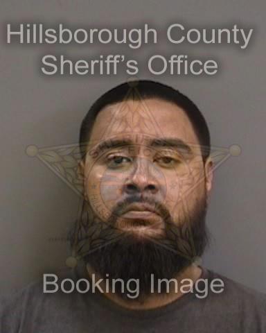 DAVID VILLARREAL of RUSKIN booked for