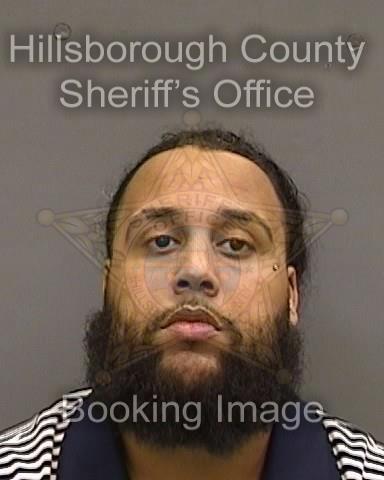 ISAEL F MIRABAL of TAMPA booked for