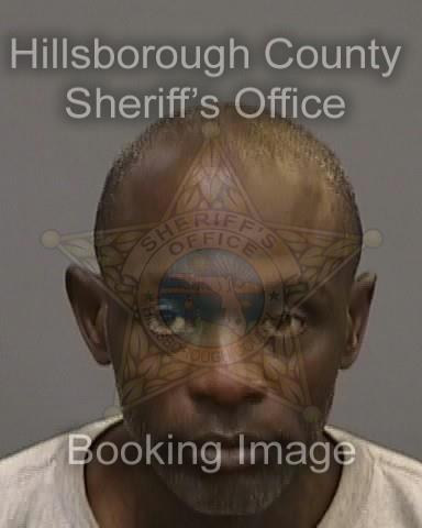 JOHNNIE DOC JR EVERETT of SEFFNER booked for