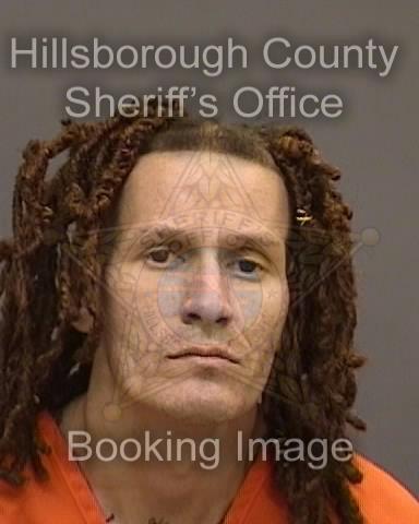 STEVEN MICHAEL HALTER of TAMPA booked for