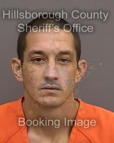 THEODORE CHARLES IV MURPHY of TAMPA booked for