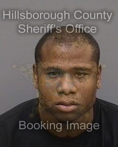 CHARLES HENRY HIGHTOWER of TAMPA booked for