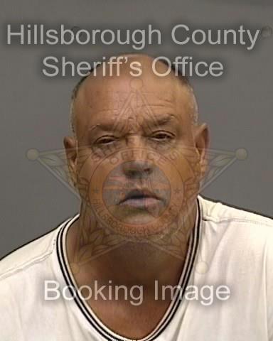 ELVIS MANUEL NEGRON LUGO of TAMPA booked for