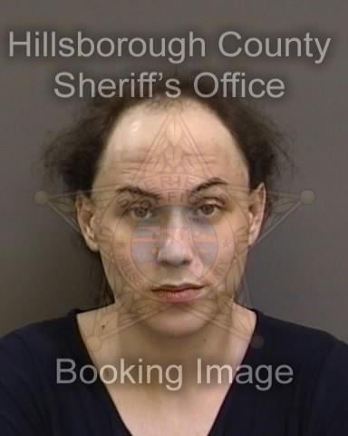 JACOB PAUL-LEE FITZWATER of GIBSONTON booked for