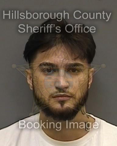 RICHARD DWAYNE JR RIPPY of TAMPA booked for