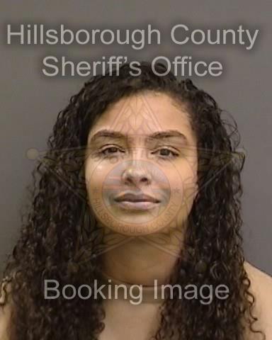 ALEAHA NOELLE FAUSTRUM of TAMPA booked for
