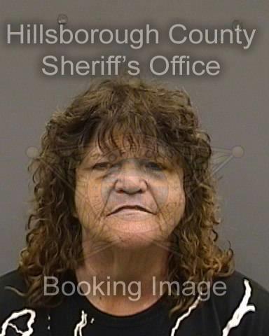 AMY BETH HANCOCK of RUSKIN booked for