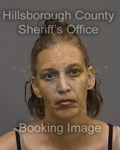 ELIZABETH VIERA of TAMPA booked for