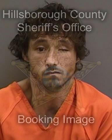 BENJAMIN TRAVIS JOHNSON of TAMPA booked for