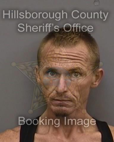 DAVID WAYNE JR LANDGREN of SEFFNER booked for