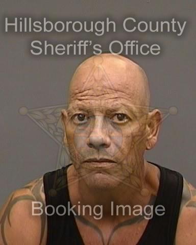 DIOSVANI MAYEA of TAMPA booked for