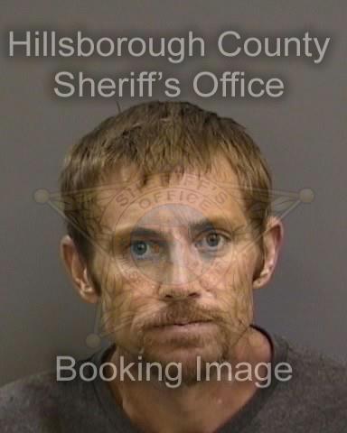 MICHAEL J III BUSCEMI of TAMPA booked for