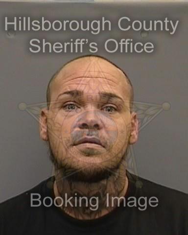 MICHAEL MARTIN SMITH of TAMPA booked for