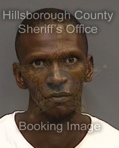 CHARLES EDWARD JR MURPHY of TAMPA booked for