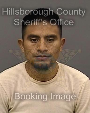 DELMAR VASQUEZRAMIREZ of IMMOKALEE booked for