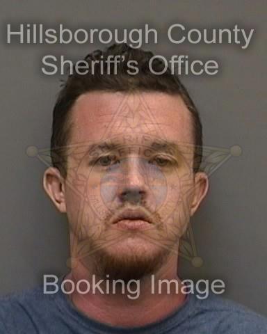 JOSHUA RAY STEFANSKY of TAMPA booked for