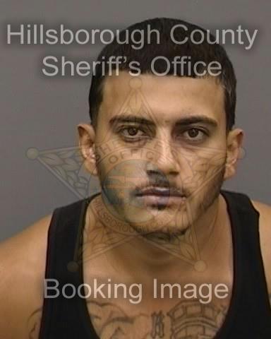JUAN ALBERTO JR BAEZ of RIVERVIEW booked for