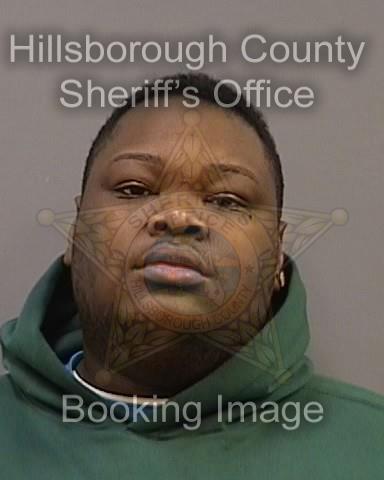 MORLIX LEE WALKER of TAMPA booked for