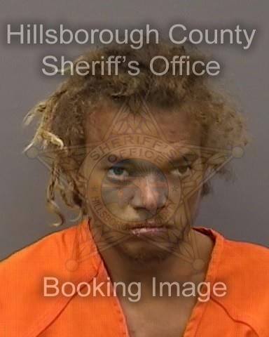 CHARLES DEVON WILSON of TAMPA booked for
