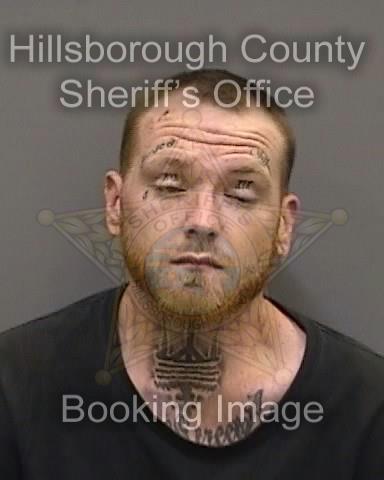DYLAN MICHAEL AIRHART of RUSKIN booked for