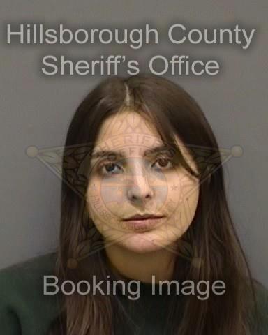 JAMI TAYLOR CLARK of TAMPA booked for