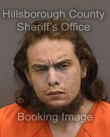 JAYLEN ANTHONY CANALES of RIVERVIEW booked for