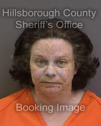 BRANDY NICOLE ANDERSON of TAMPA booked for