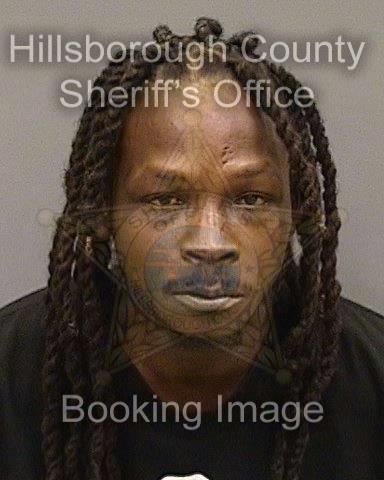 COREY ROSHAD RICHARDSON of TAMPA booked for