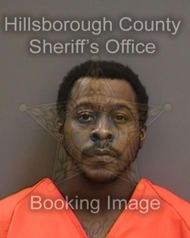 DEVIN XAVIER MCNISH of TAMPA booked for