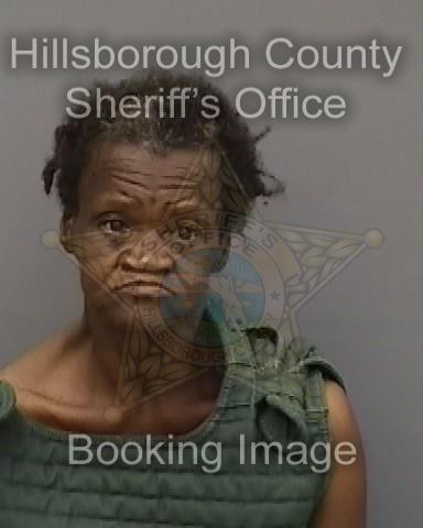KATHY JEWEL SPANN of TAMPA booked for