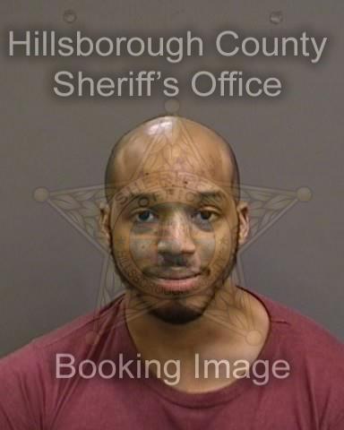 ORLANDO LEE JR ANDERSON of TAMPA booked for