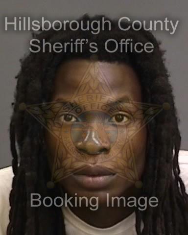 TYRONE LASHAWN JR PARKS of FORT booked for