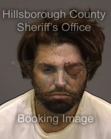AARON MICHAEL DITTMORE of RIVERVIEW booked for
