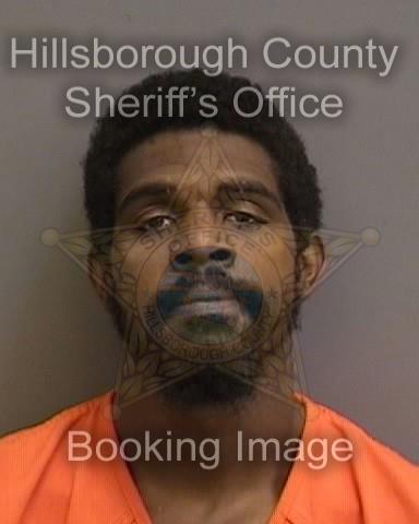 ALEC MARQUIS-TERRY HOLMES of TAMPA booked for