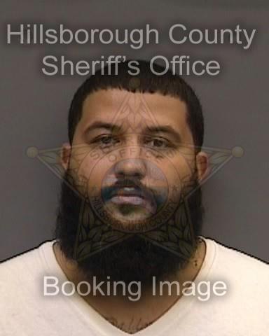 ANTHONY LOZADA of THONOTOSASSA booked for